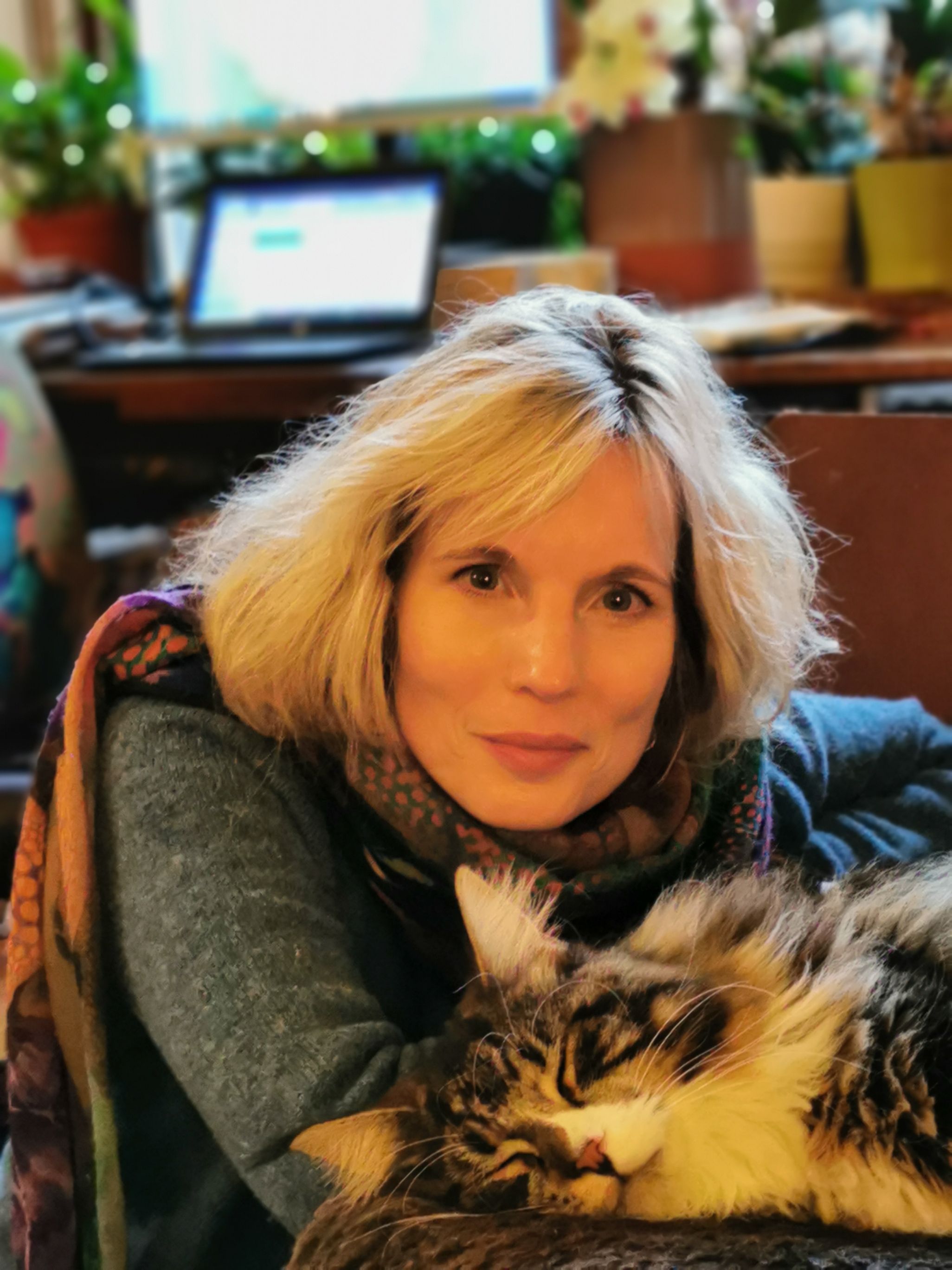 Feline expert celebrated in New Year Honours | News | The University of ...